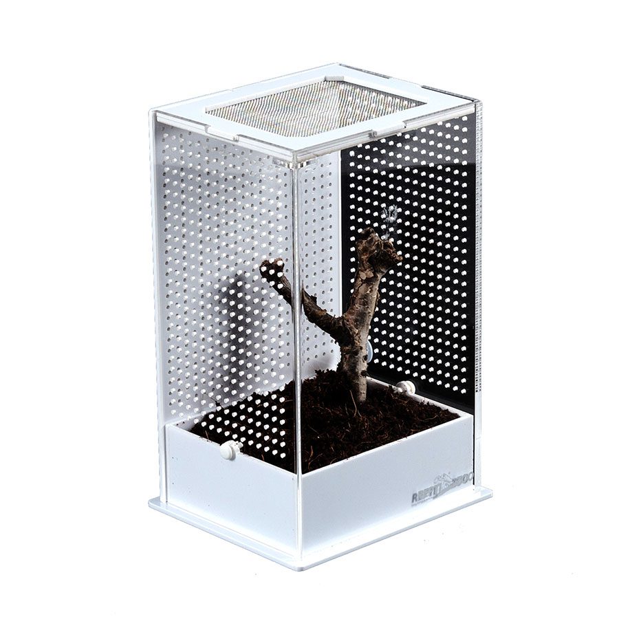 RZ White Base Insect Acrylic Box, 12x10x20cm – Riverview Reptiles