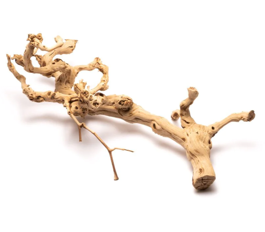 Sand Blasted Grapevine 60-90cm – Riverview Reptiles